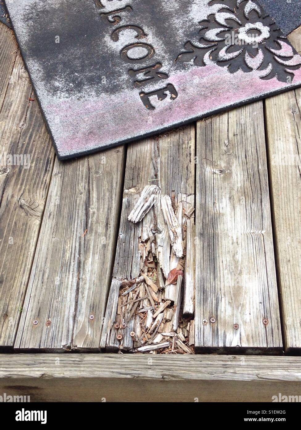 Welcome rain hi-res stock photography and images - Alamy