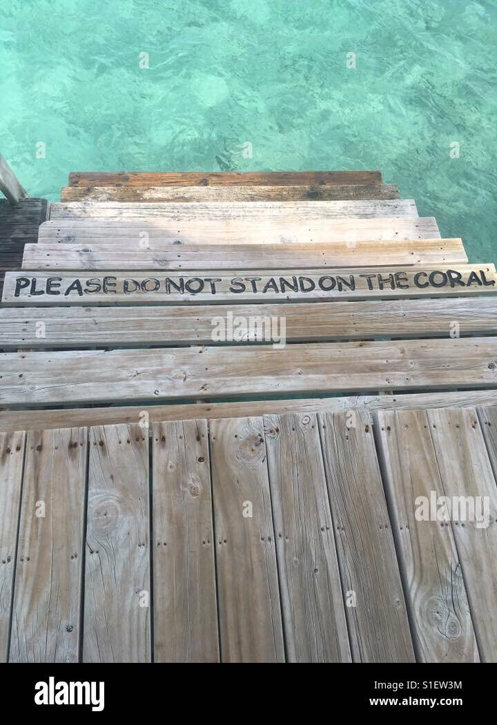Maldives sea step Stock Photo - Alamy