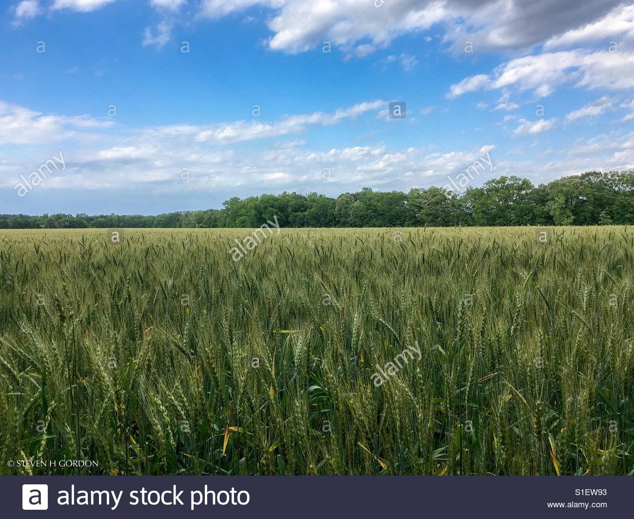 Alabama Agriculture Stock Photos & Alabama Agriculture Stock Images - Alamy