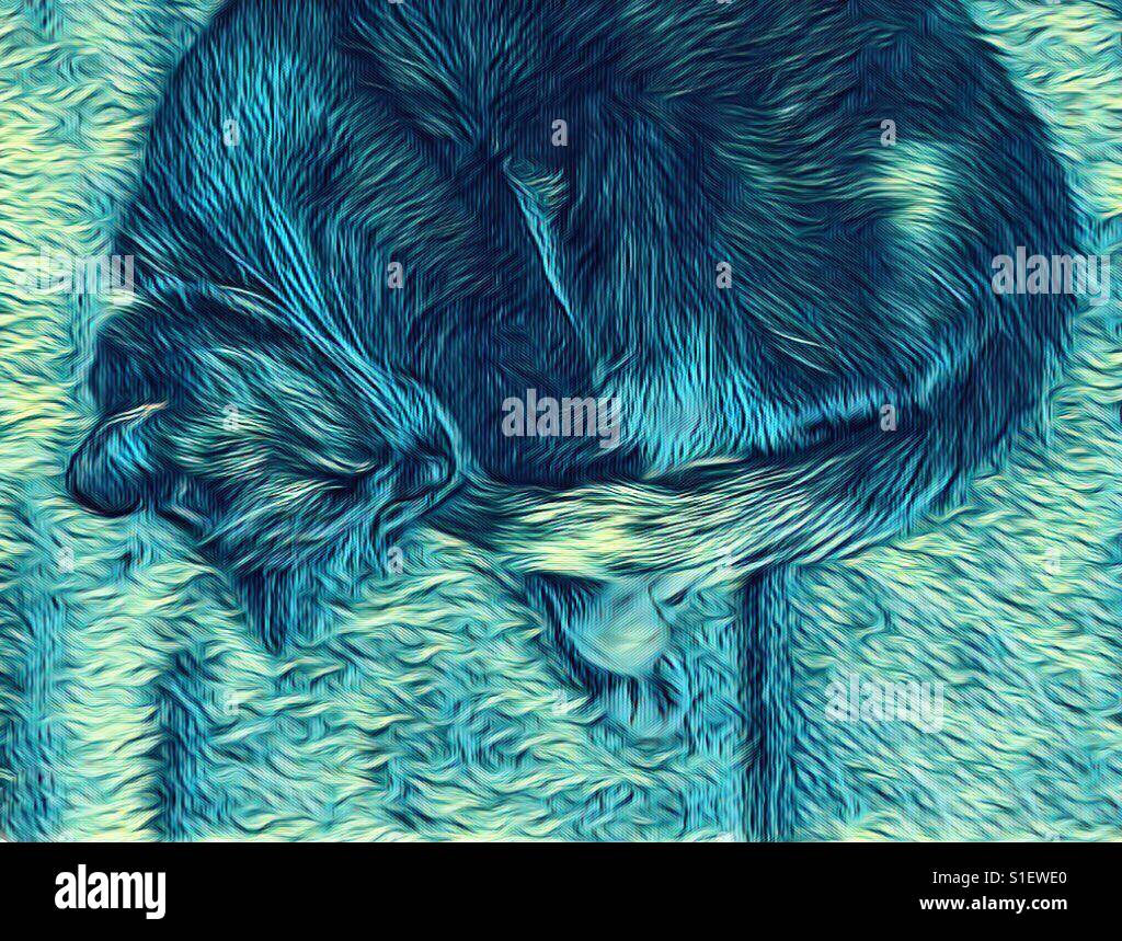 Artistic sleeping cat Stock Photo - Alamy