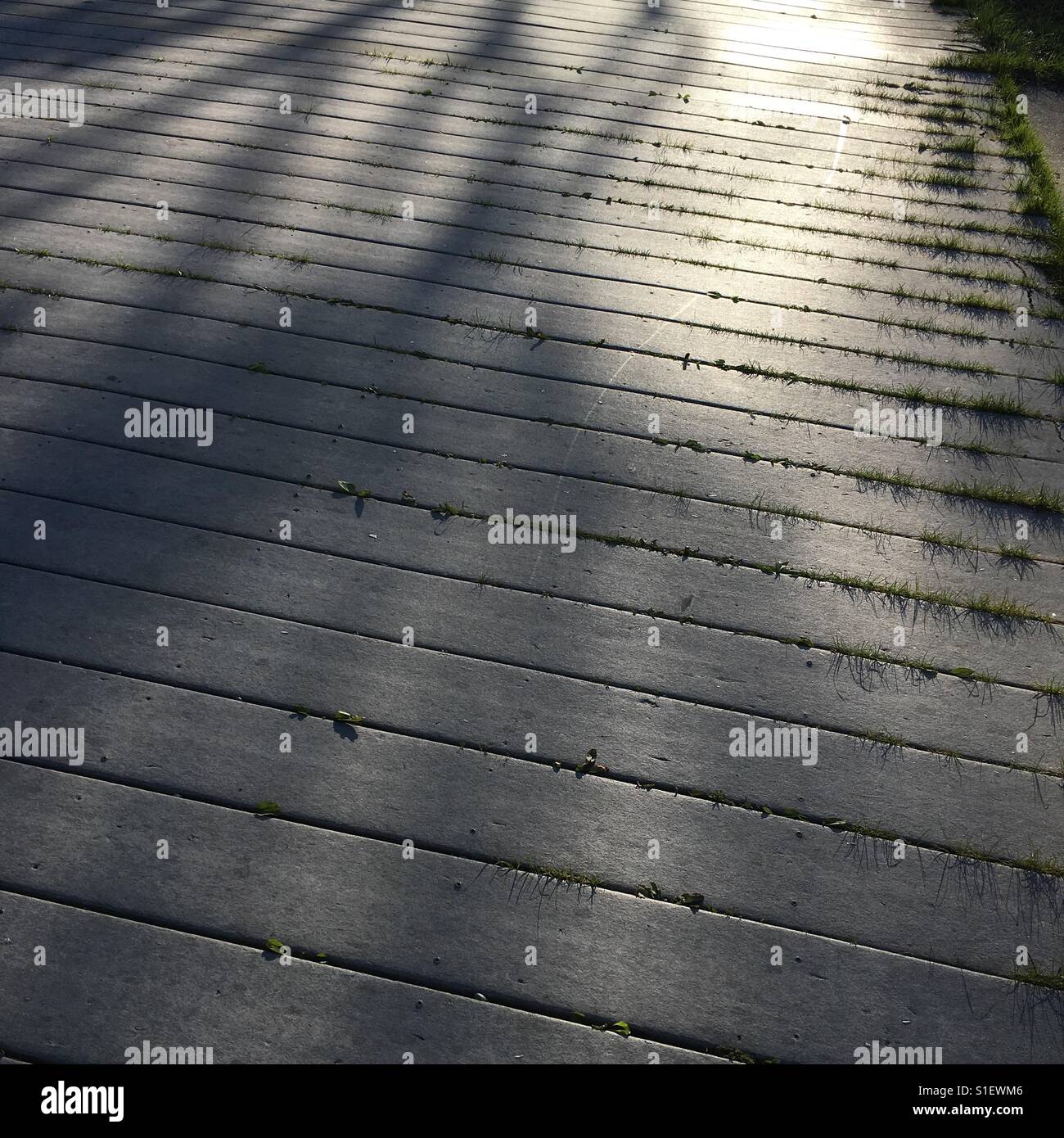 Path walk conceptual hi-res stock photography and images - Alamy