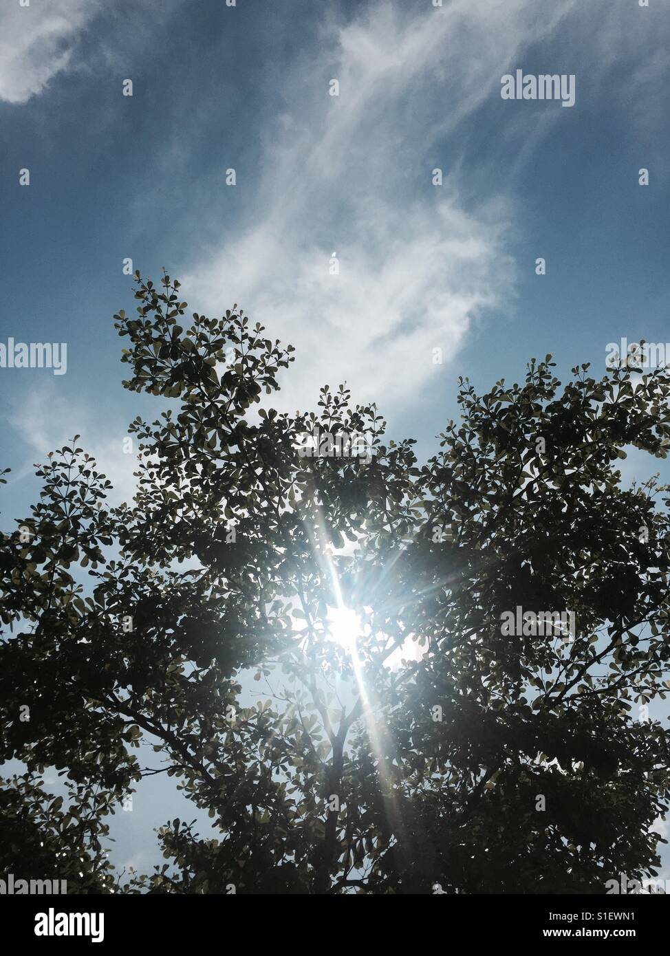 A beam of the sun hi-res stock photography and images - Alamy
