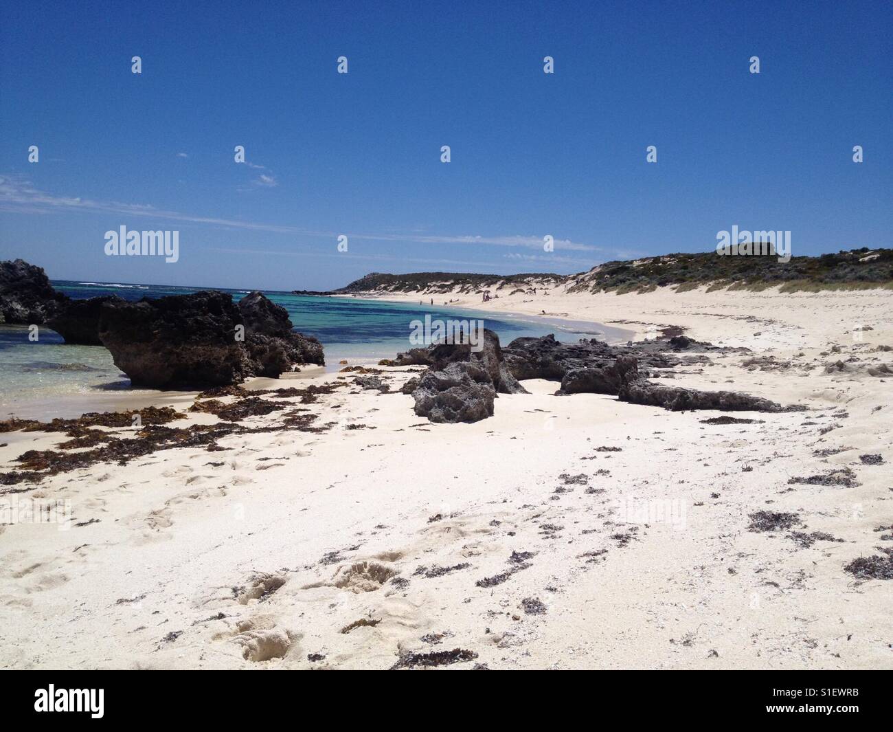 Rotto island hi-res stock photography and images - Alamy