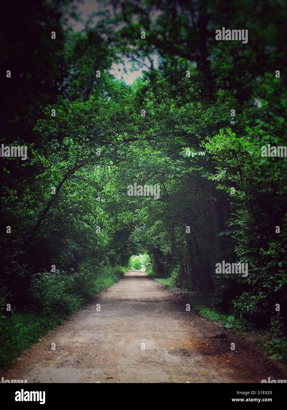 A green pathway Stock Photo - Alamy