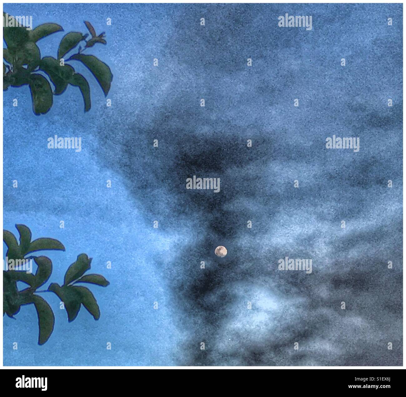 Smoky moonrise: smoke from a late Spring swamp fire nearly obscures the ...