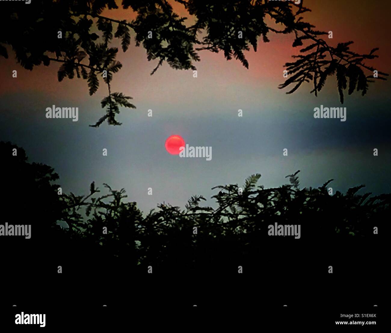 Smoke forest fire in sunset hi-res stock photography and images - Alamy