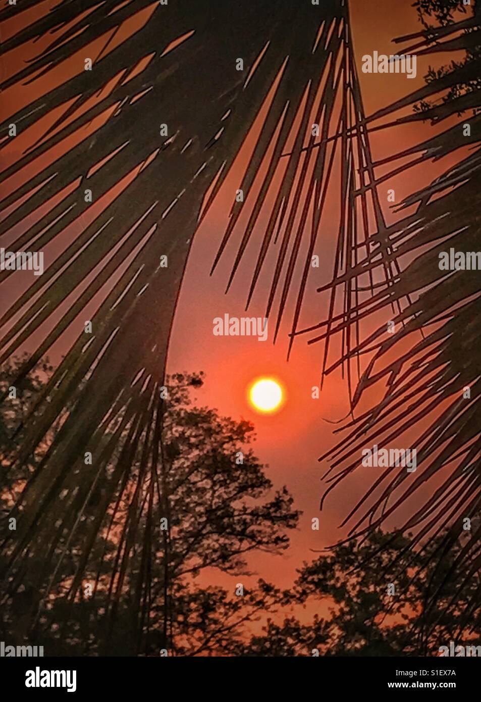 Red skies at night hi-res stock photography and images - Alamy