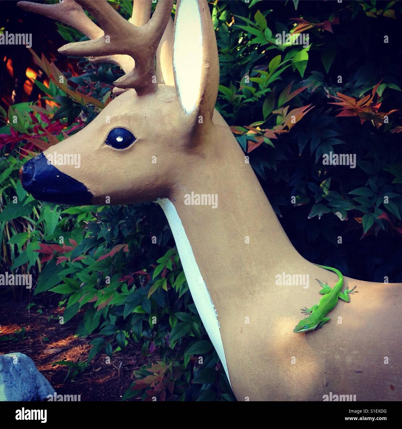 Lizard statue hi-res stock photography and images - Alamy