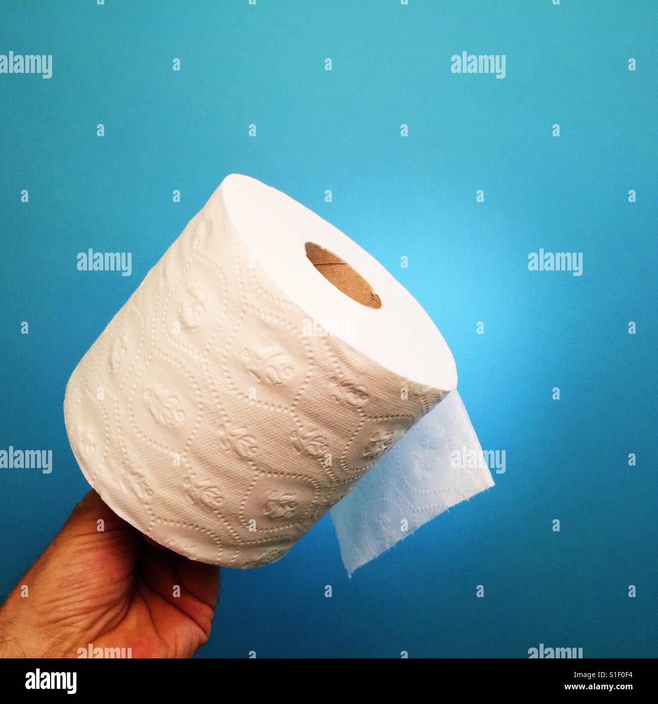 Still life toilet paper roll hi-res stock photography and images - Alamy