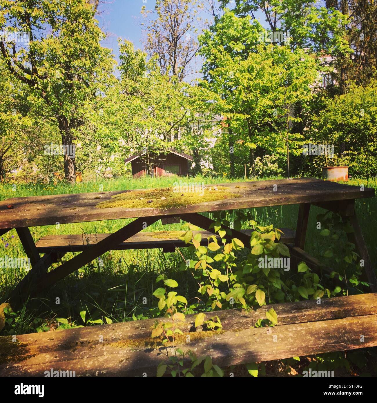 Peaceful home hi-res stock photography and images - Alamy