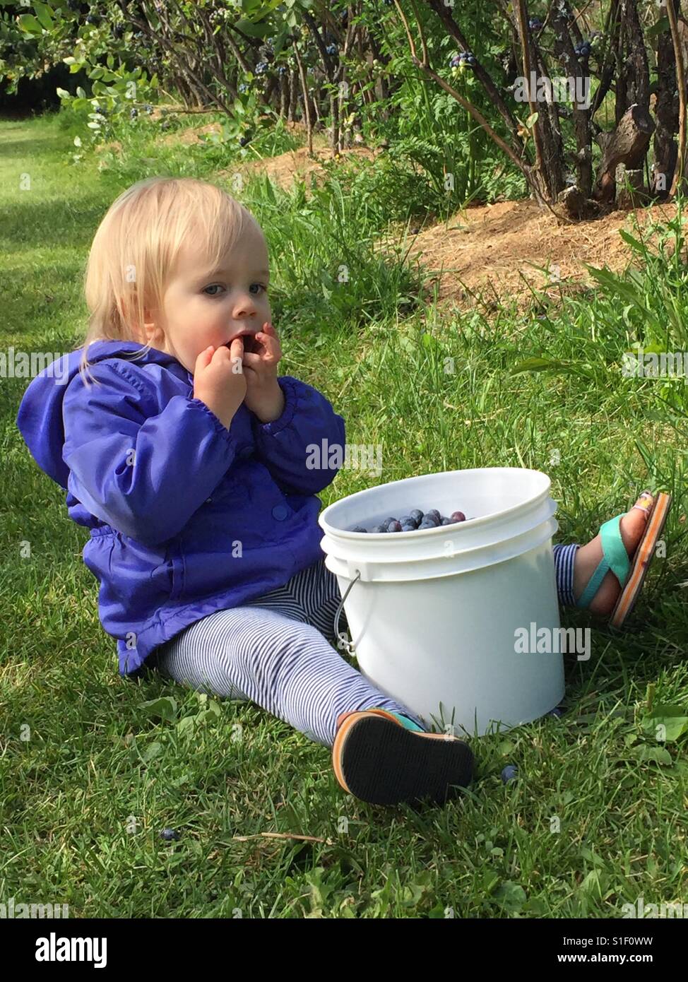 Baby blue jacket hi-res stock photography and images - Alamy