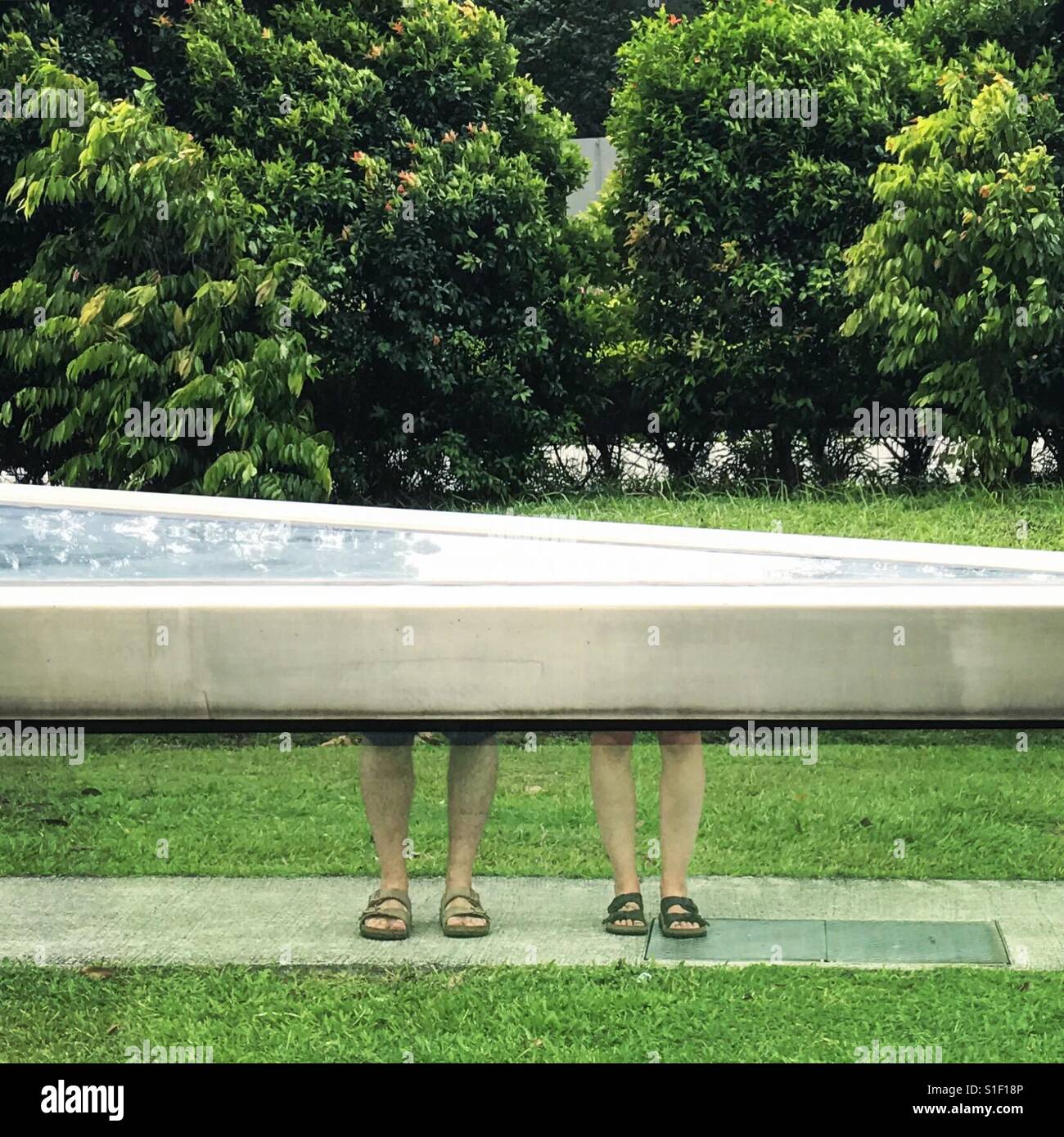 Invisible Green High Resolution Stock Photography and Images - Alamy