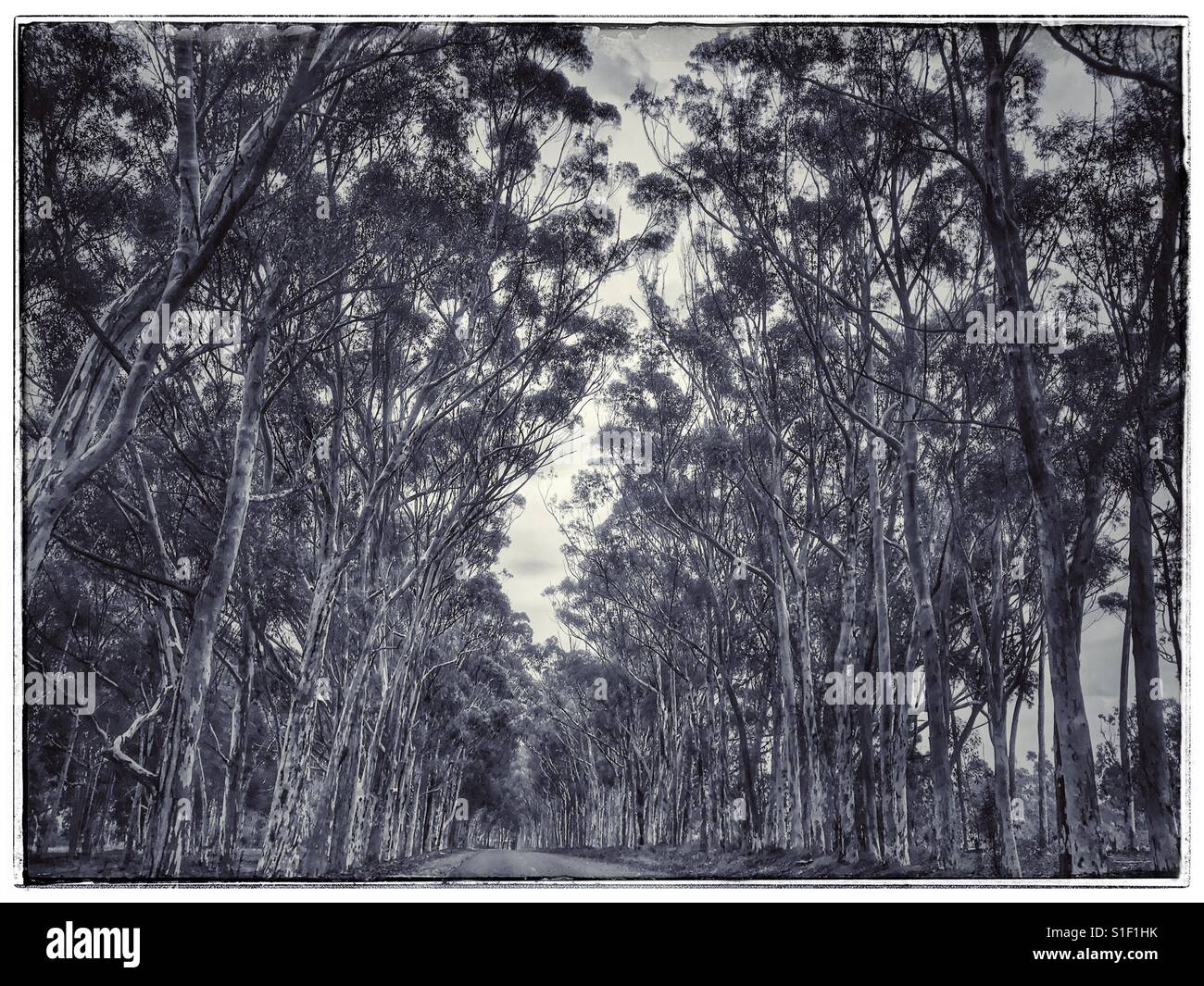 South africa boland hi-res stock photography and images - Alamy