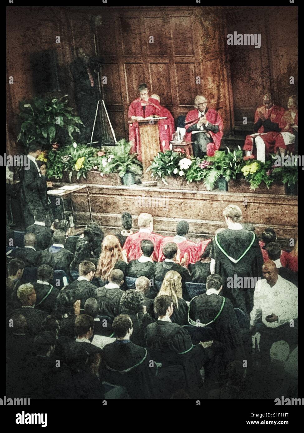 Graduation day, University of Cape Town, South Africa Stock Photo - Alamy