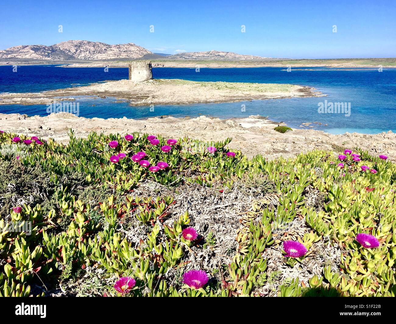 La pelosa hi-res stock photography and images - Alamy