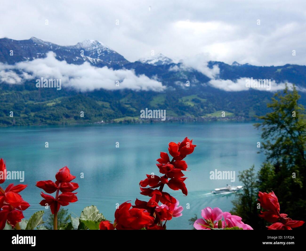 Another flawless Swiss view! Stock Photo - Alamy