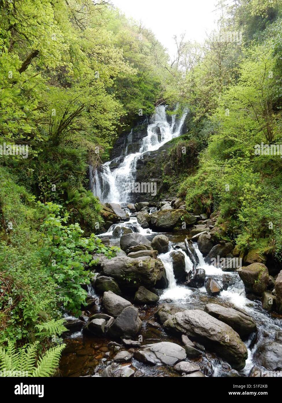 Ring Of Kerry Ireland Waterfall High Resolution Stock Photography and ...