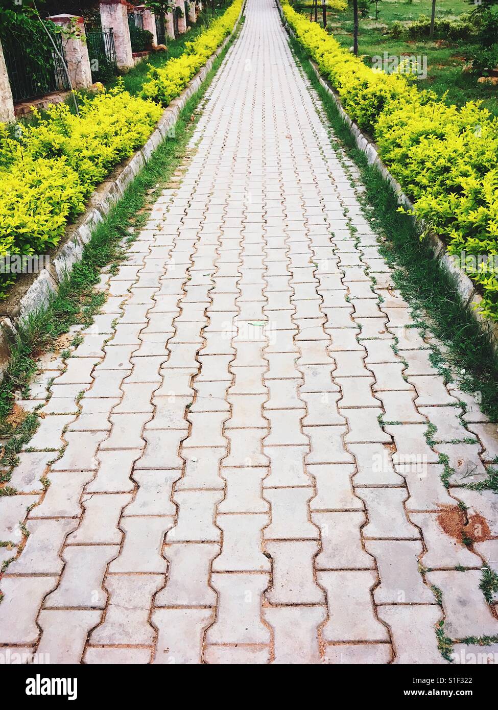 Footpath in a park Stock Photo - Alamy