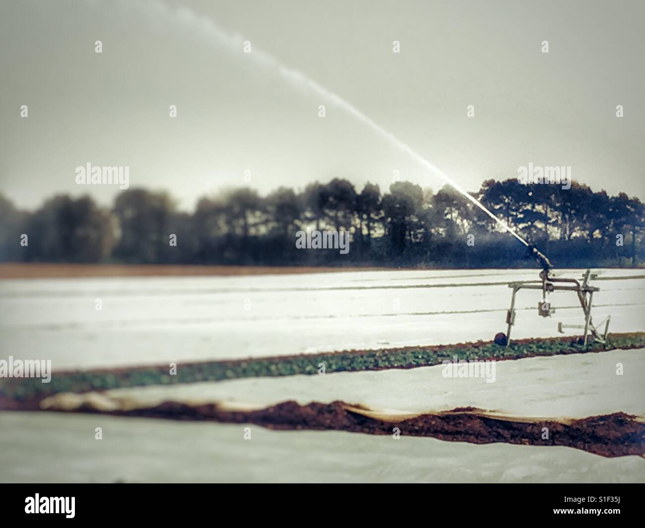 Self propelled irrigation system hi-res stock photography and images ...