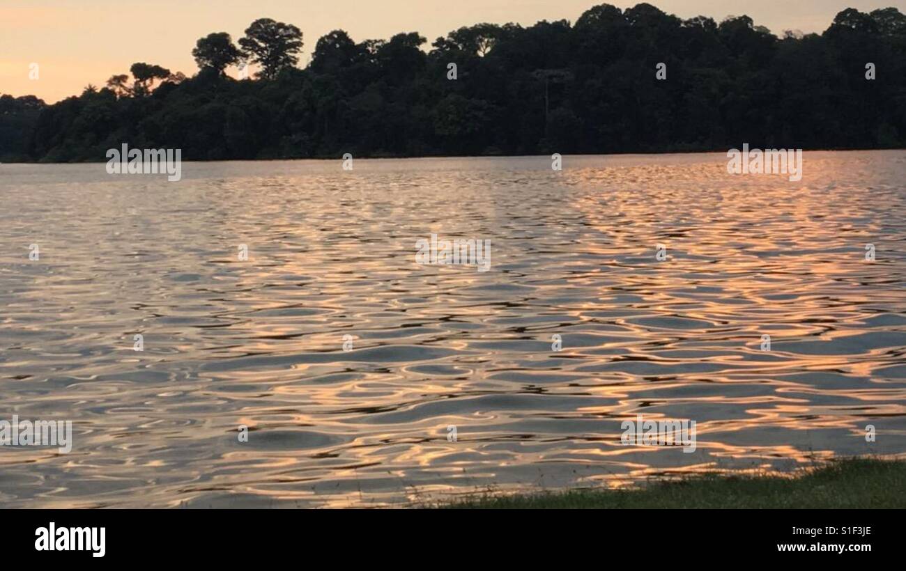 Mandai singapore hi-res stock photography and images - Alamy