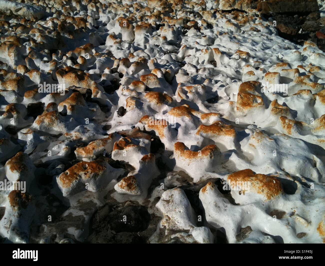 Unusual rock formation in Margate near Tate gallery in England Stock ...