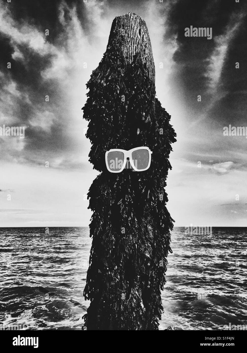 Seaweed Monster High Resolution Stock Photography and Images - Alamy