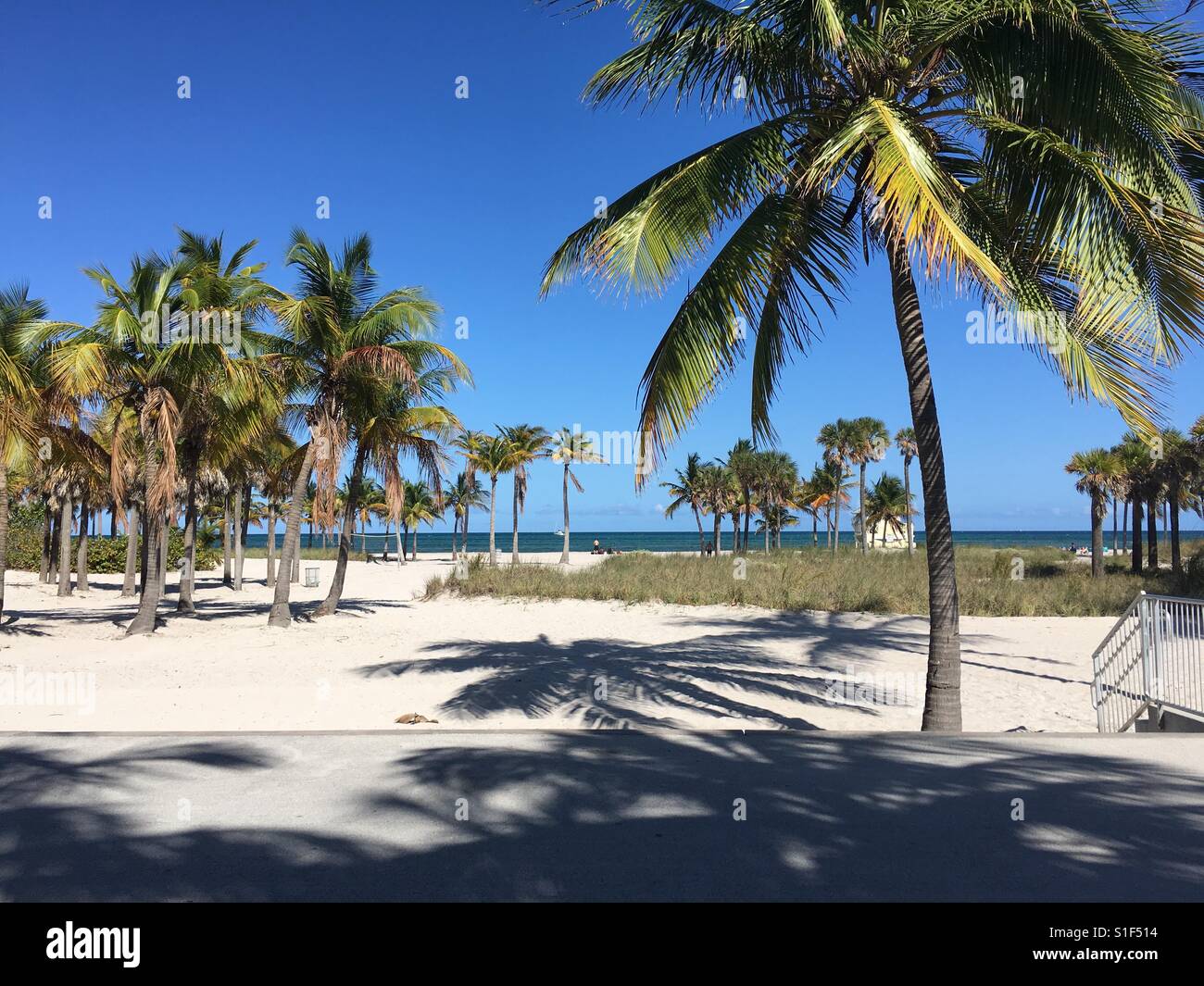 Key biscayne beach hi-res stock photography and images - Alamy