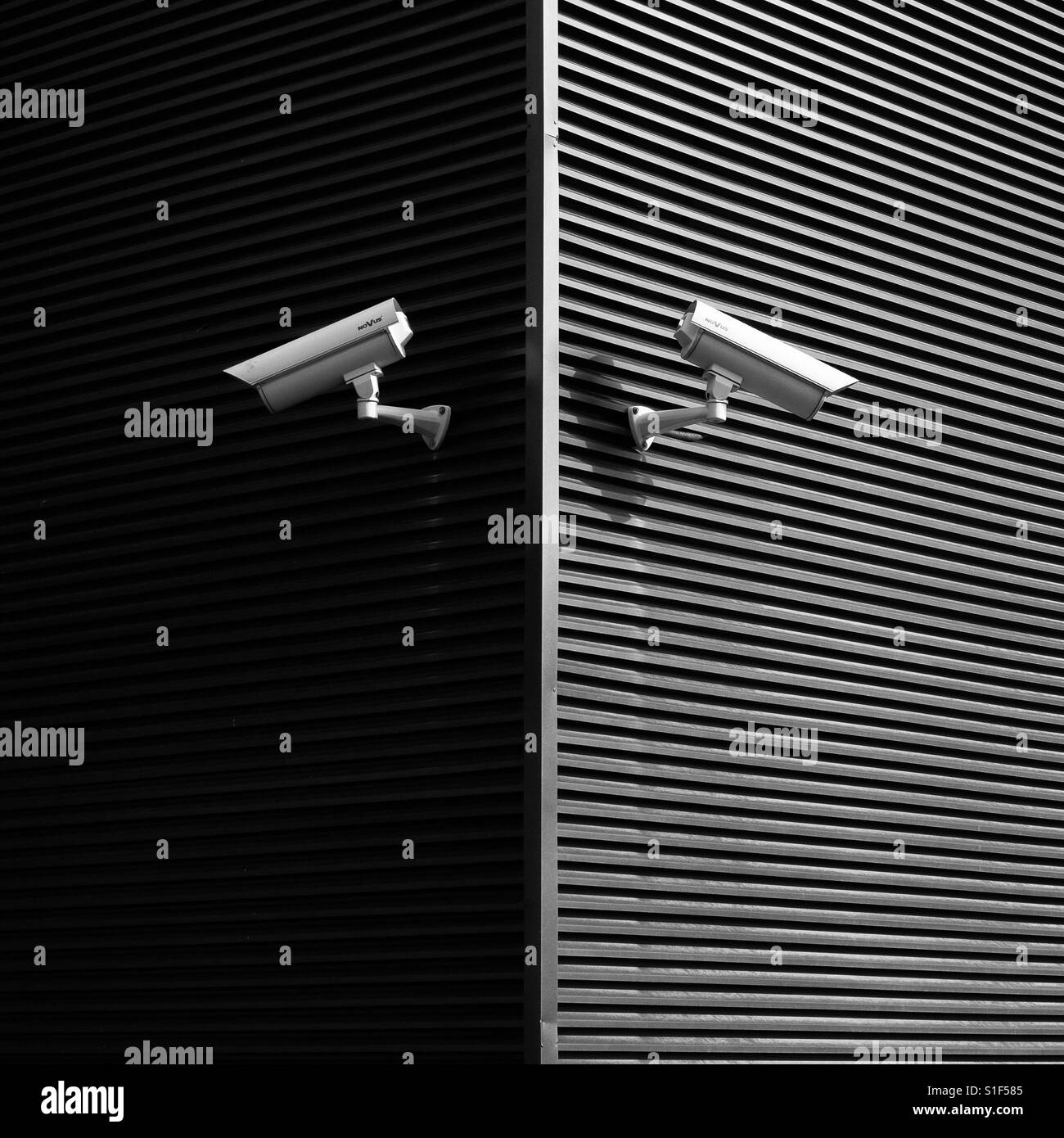 Two cameras hi-res stock photography and images - Alamy