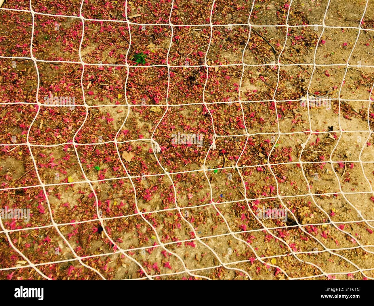 Goal net torn in the middle Stock Photo - Alamy