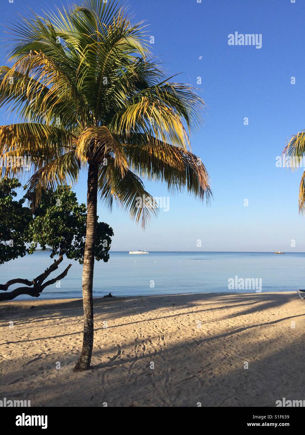 Jamaica beach hi-res stock photography and images - Alamy