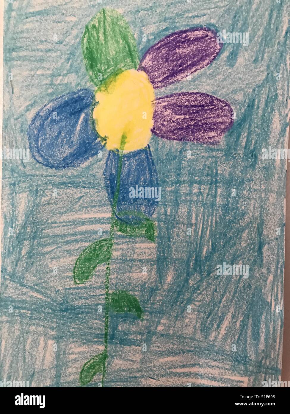 A child's drawing of a flower Stock Photo - Alamy