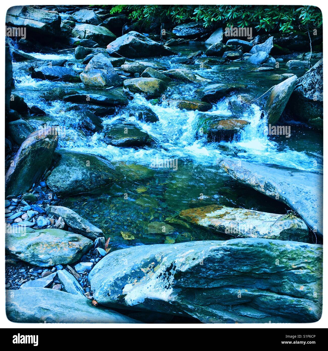 Flowing brook Stock Photo - Alamy Flowing brook Stock Photo - Alamy