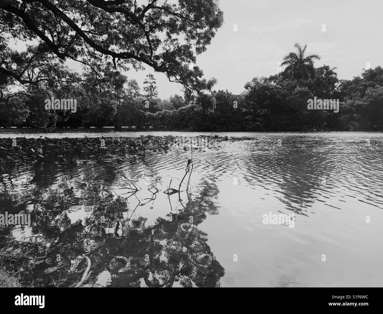 Waters reflection lake hi-res stock photography and images - Alamy