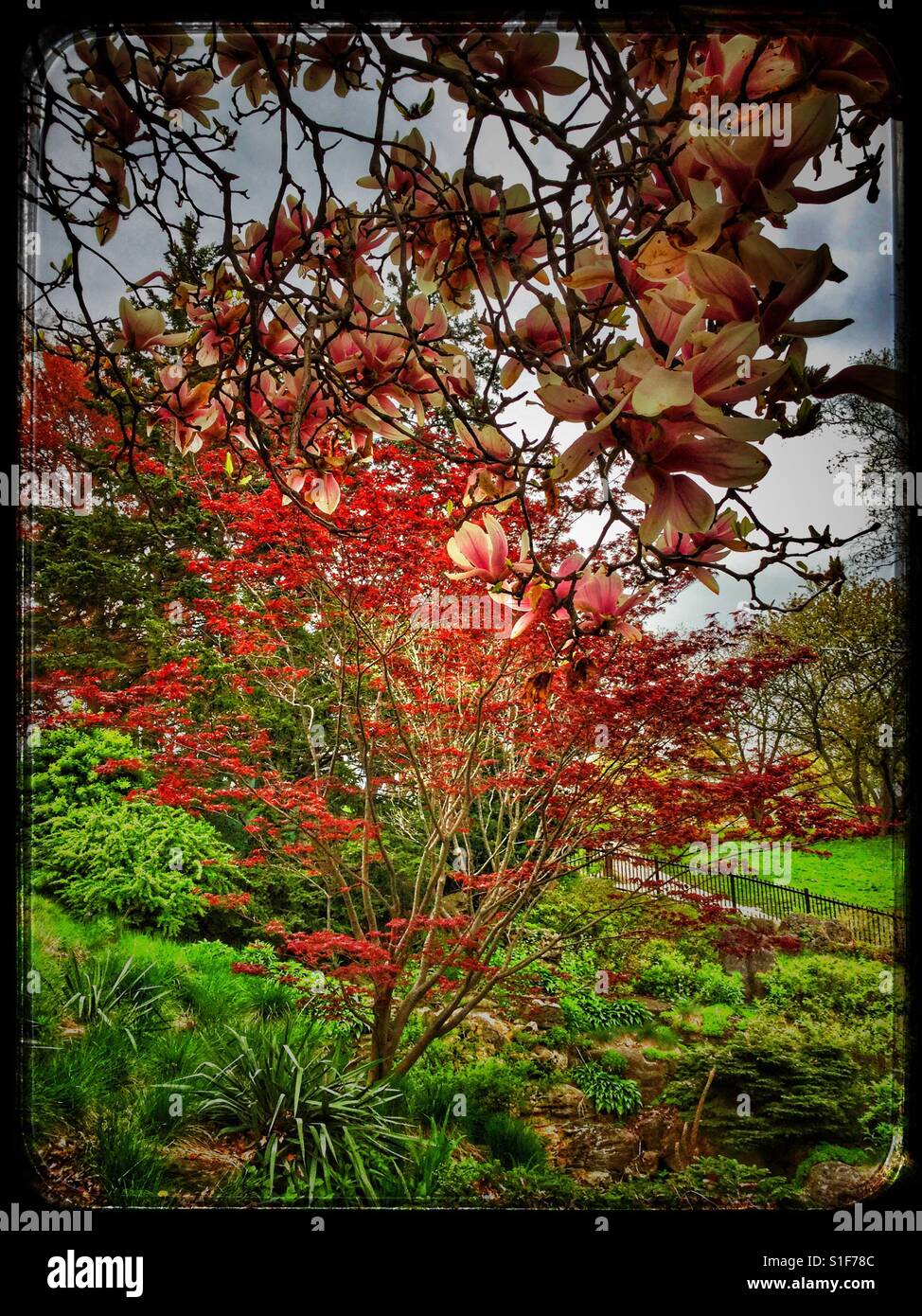 Warm tones of nature Stock Photo - Alamy