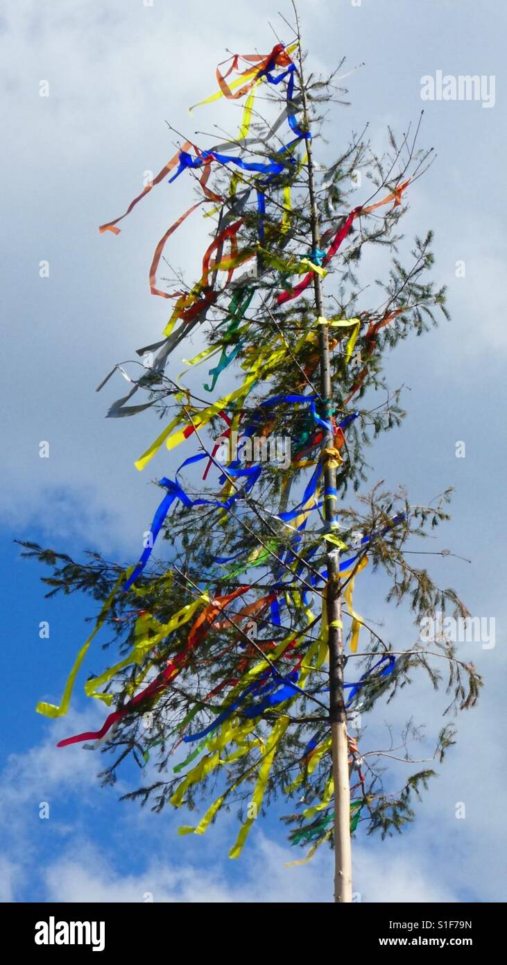 Maypole.. tree, enjoy! Stock Photo - Alamy