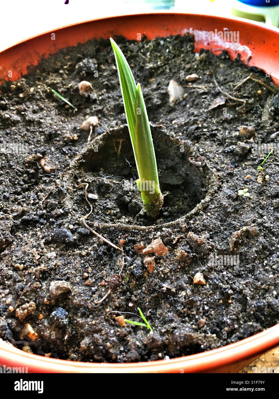 School project hi-res stock photography and images - Alamy