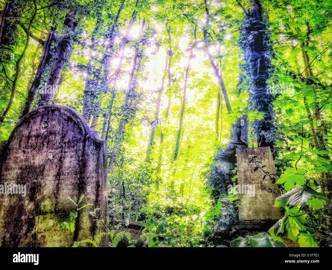 Gravestones in Nunhead cemetery, London Stock Photo - Alamy