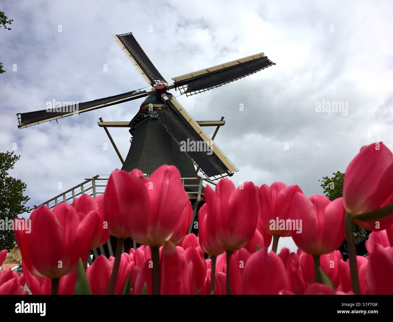 Double windmill hi-res stock photography and images - Alamy