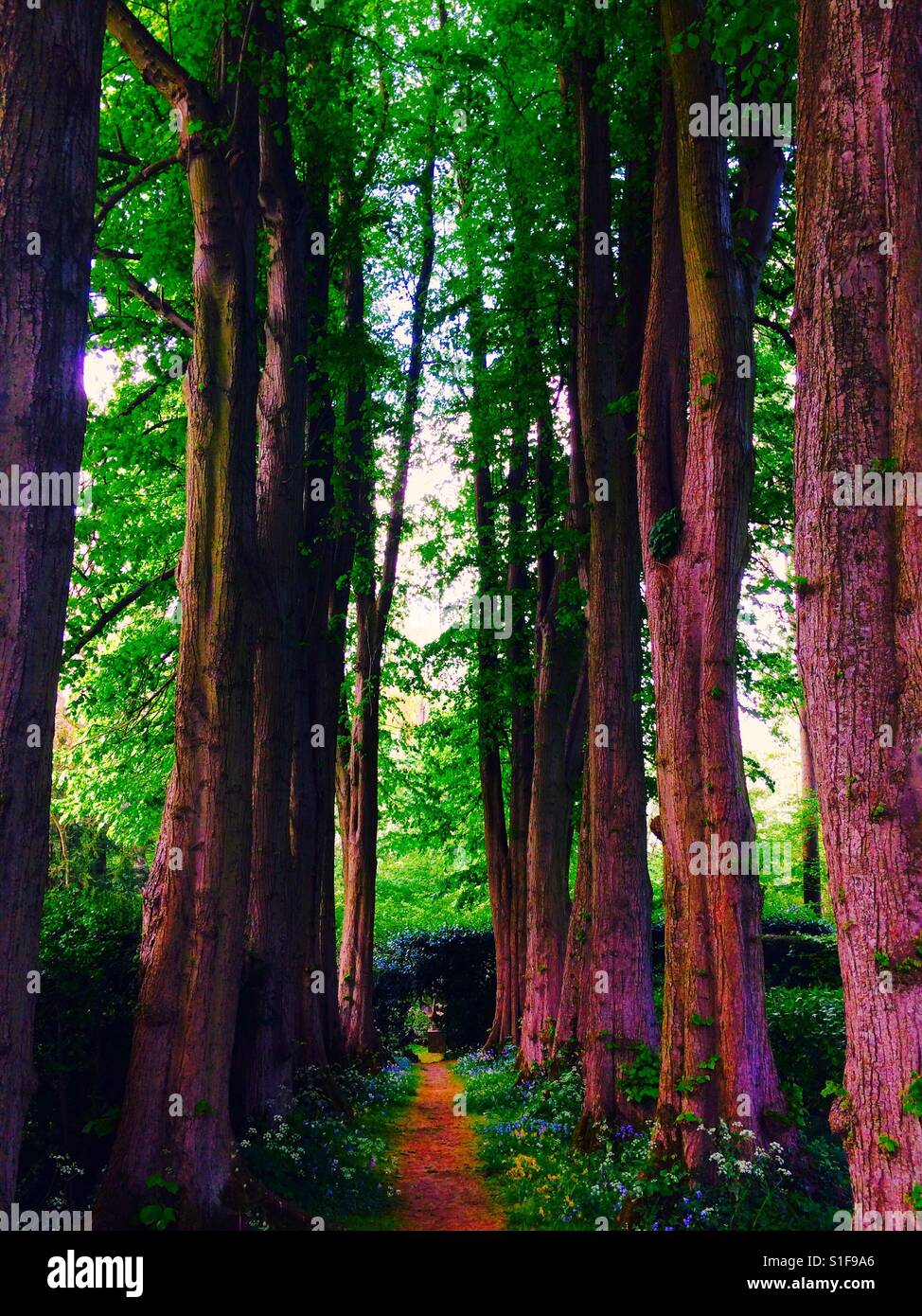 Gibberd garden hi-res stock photography and images - Alamy