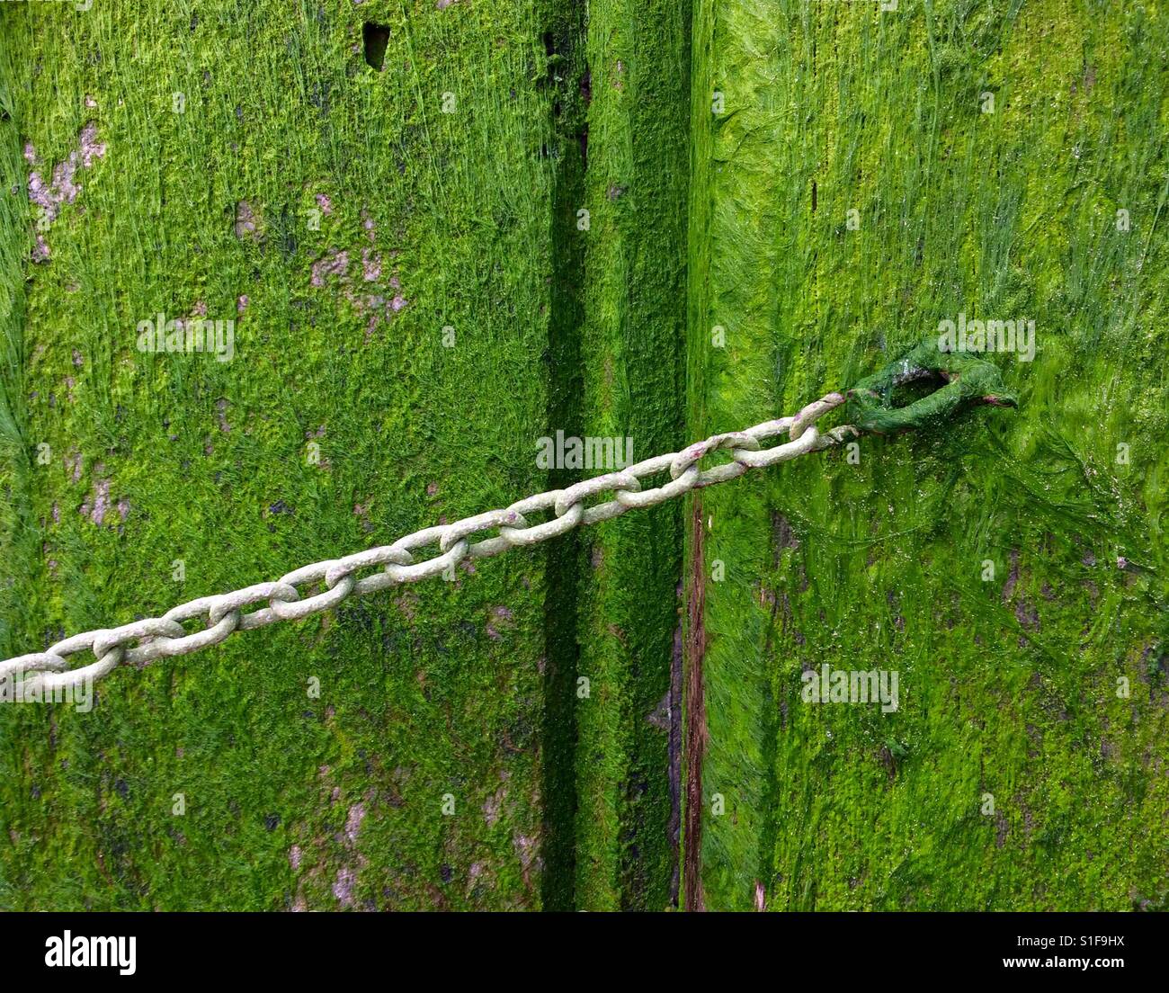 Wet chain hi-res stock photography and images - Alamy