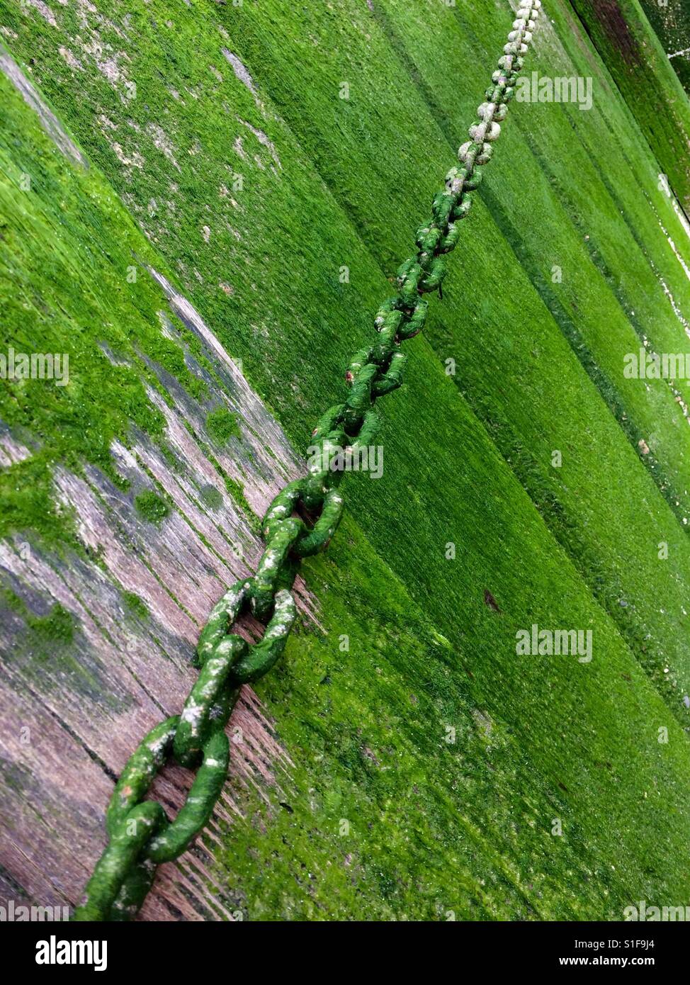 Covered chain hi-res stock photography and images - Alamy