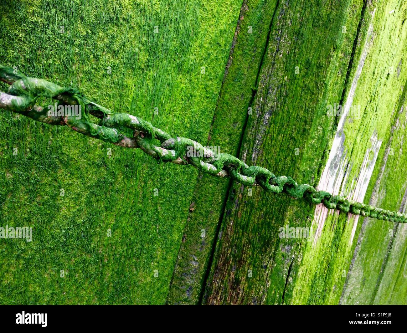 Wet chain hi-res stock photography and images - Alamy