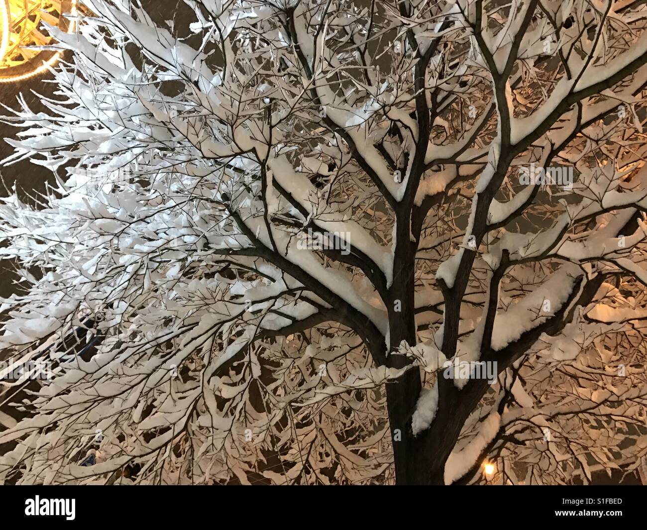 Sapporo snow hi-res stock photography and images - Alamy