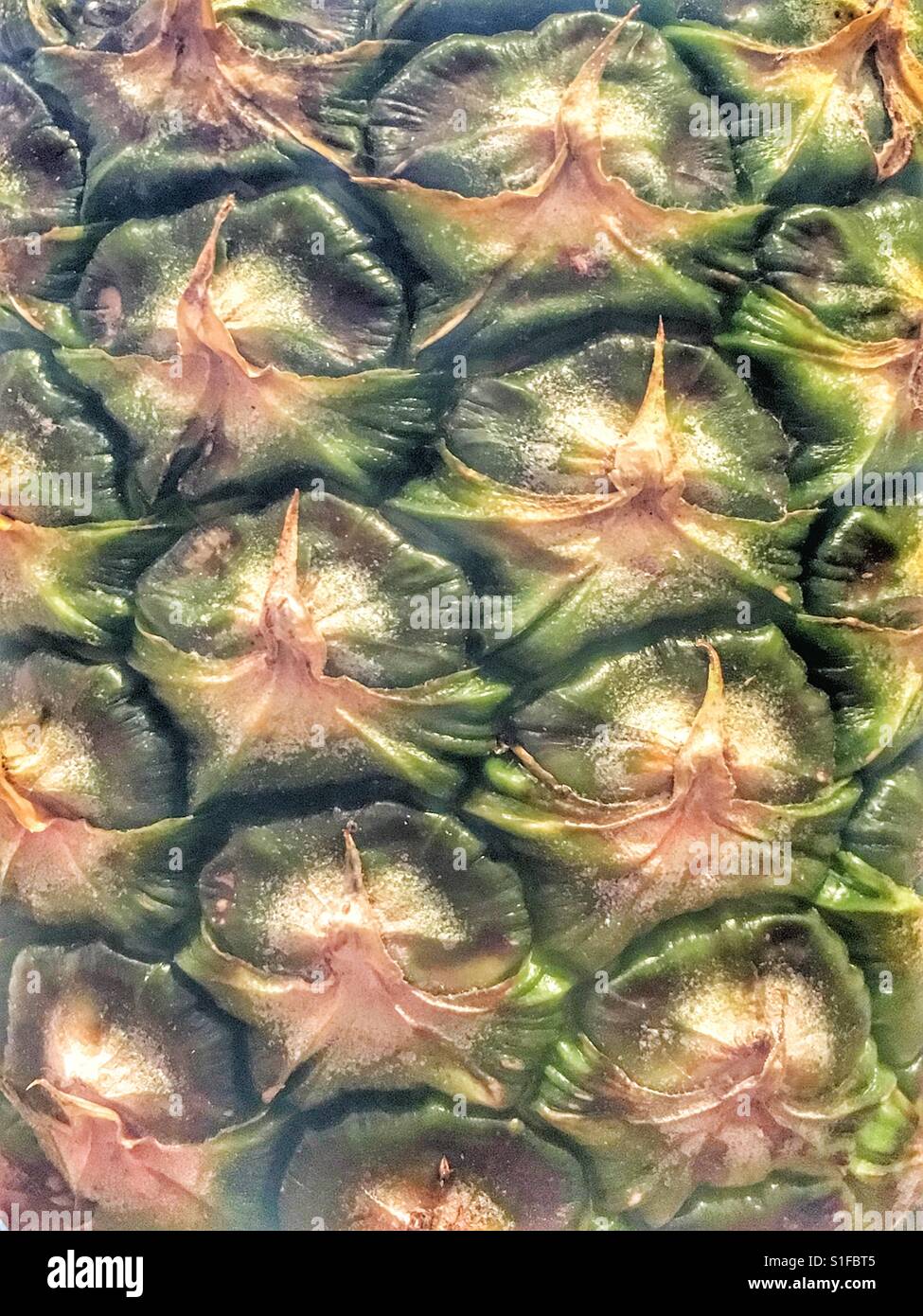 Abstract textures, pineapple skin close up Stock Photo - Alamy