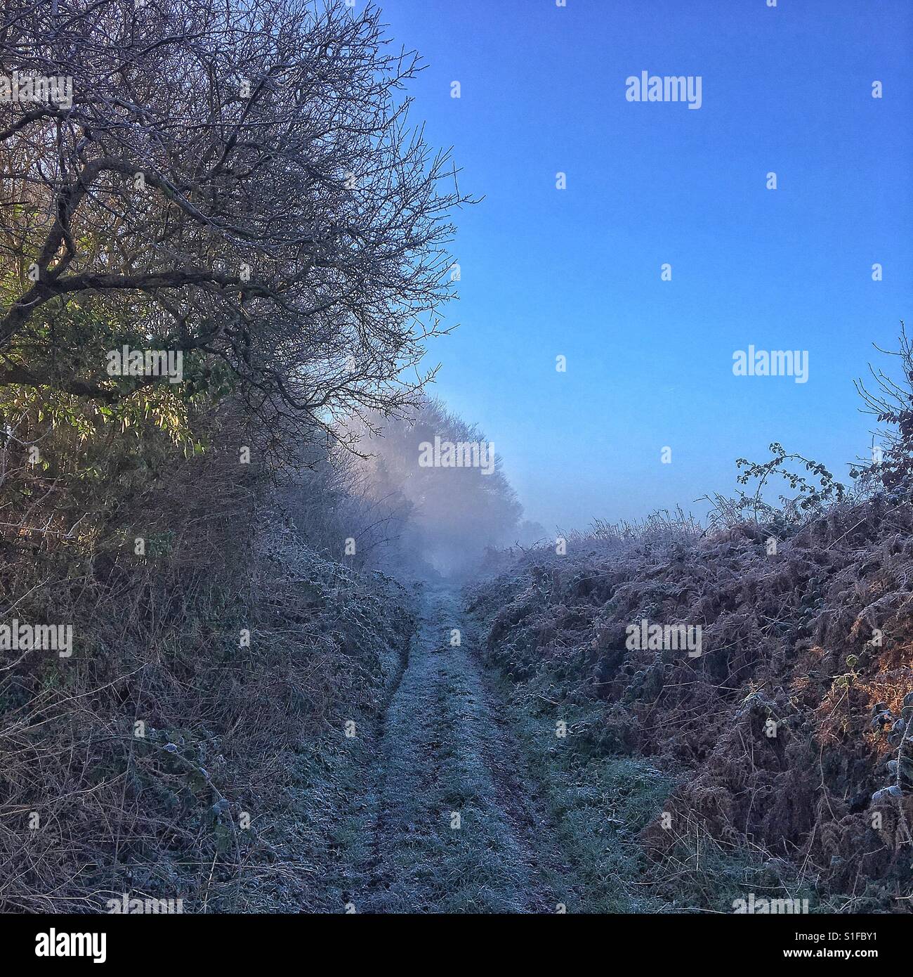 Rural devon hi-res stock photography and images - Alamy