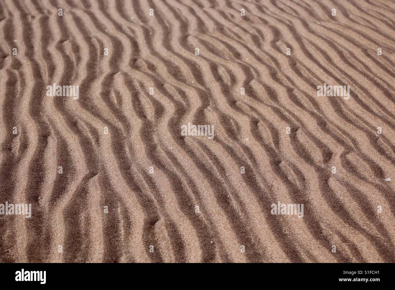 Patterns in the sand Stock Photo - Alamy