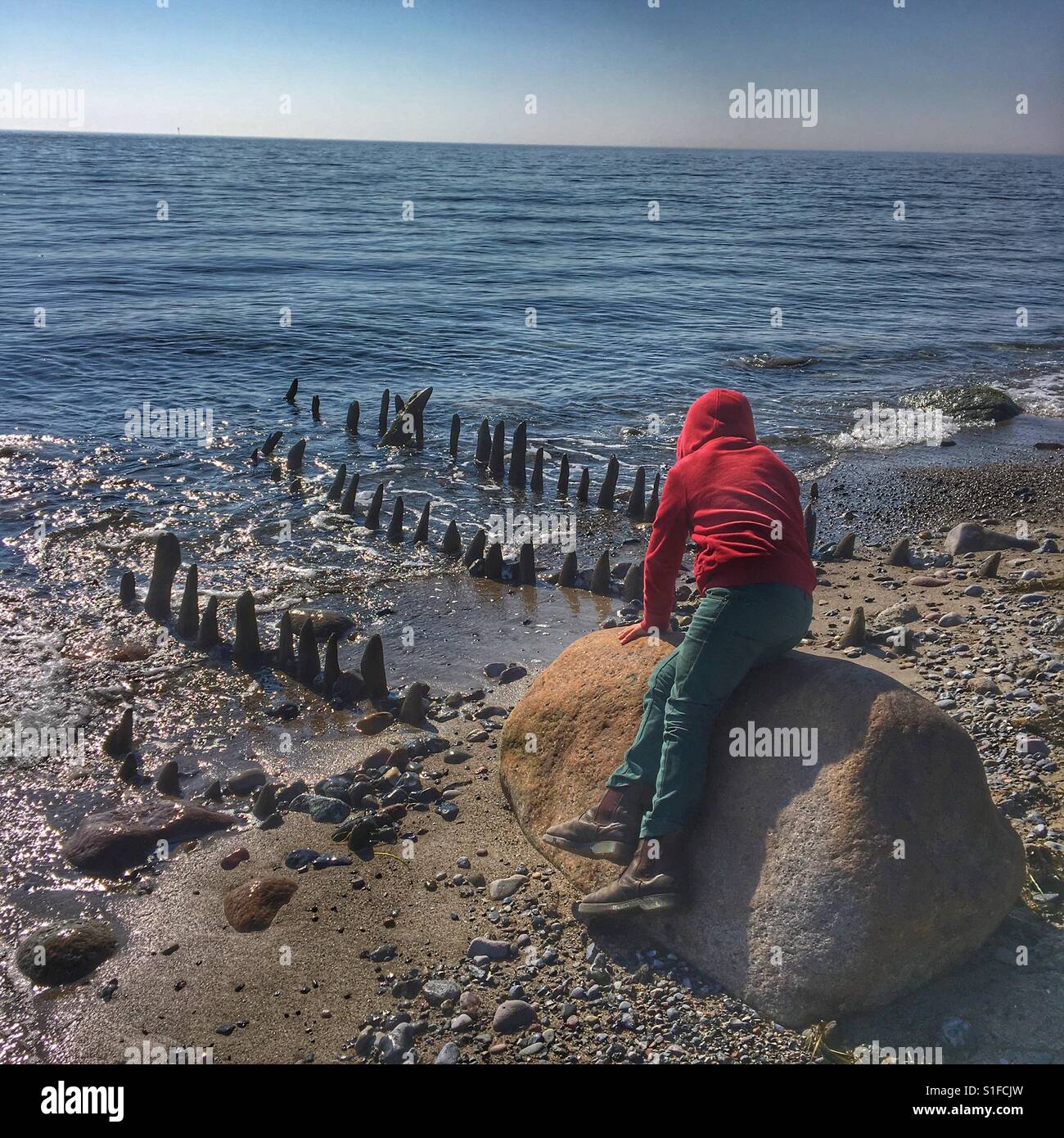 Beach fossils hi-res stock photography and images - Alamy
