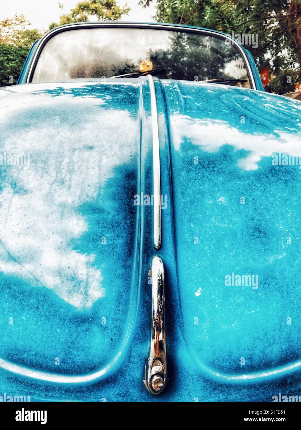 Beetle bonnet hi-res stock photography and images - Alamy