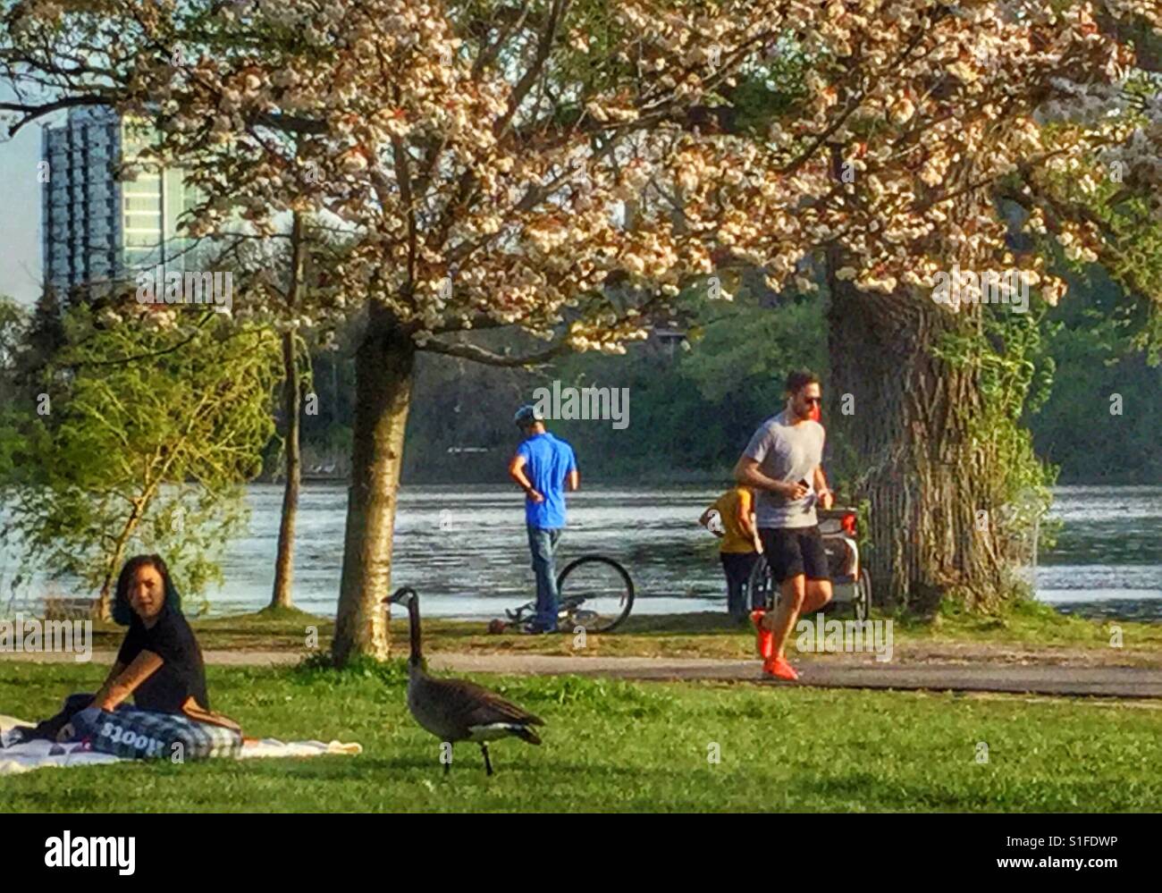 A warm evening in May Stock Photo - Alamy