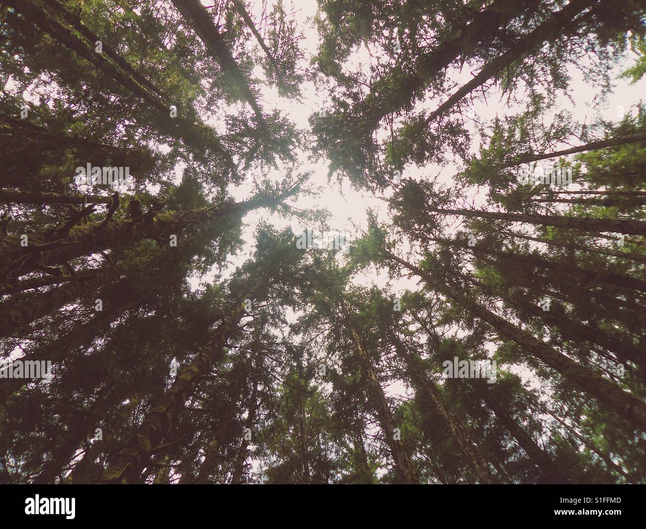 Bugs eye view hi-res stock photography and images - Alamy